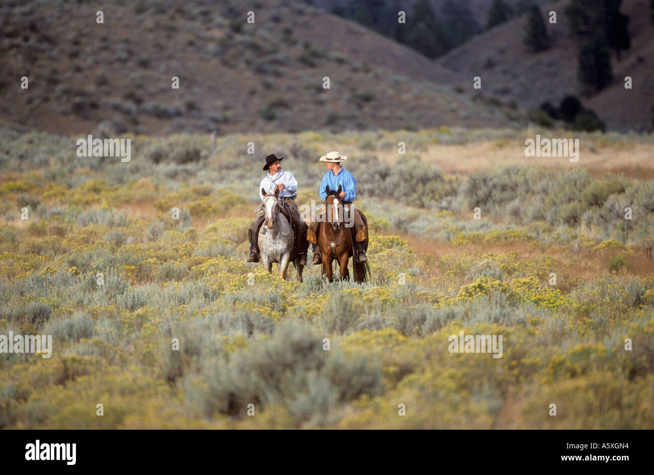 Horseman talking hi-res stock photography and images - Alamy