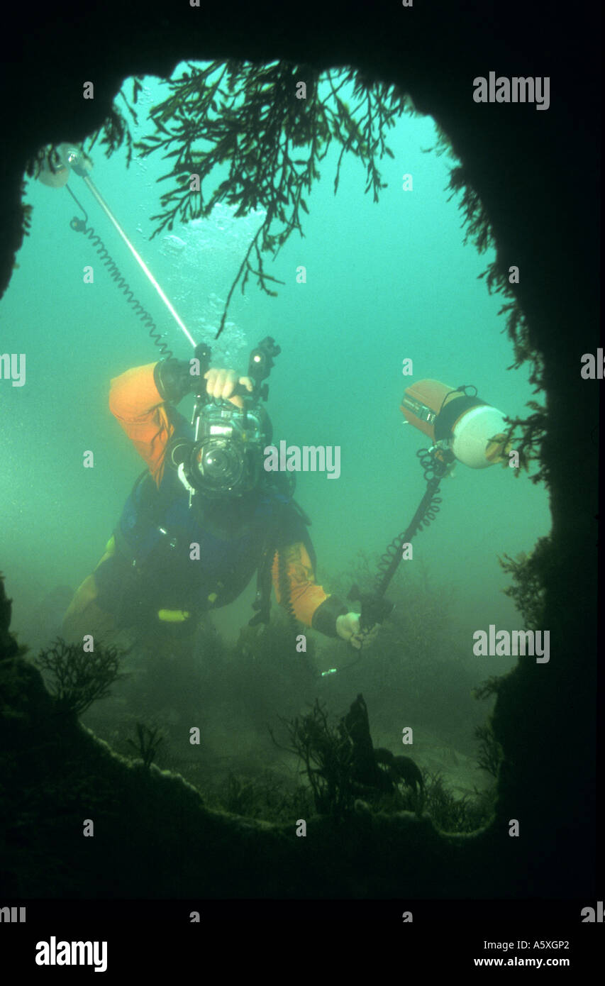 Underwater photographer taking pictures of a shipwreck off Thurlstone ...