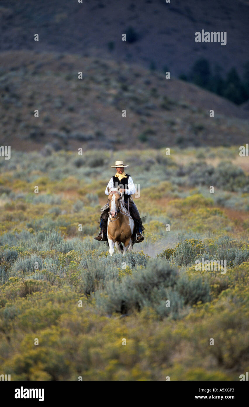 Cowboy riding in the Countryside Oregon USA Stock Photo - Alamy