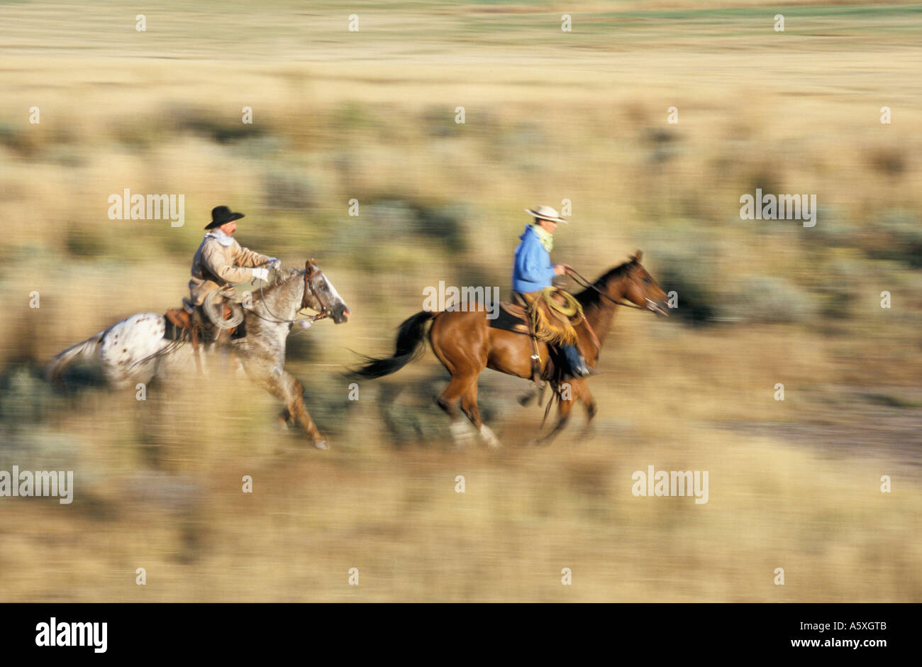 Two horsemen ride hi-res stock photography and images - Alamy