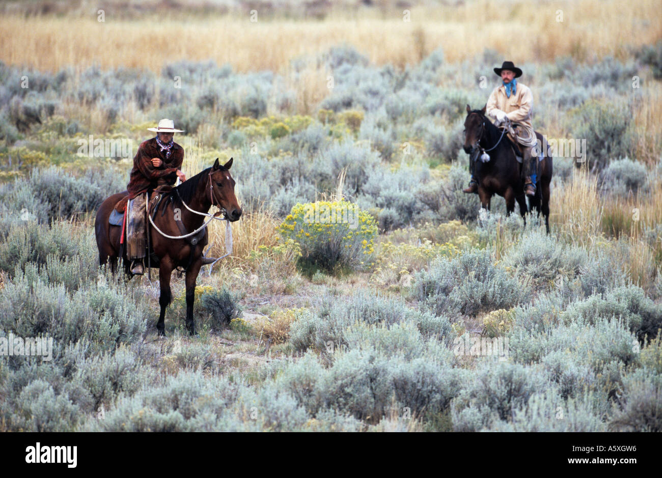 One cowboys on horseback hi-res stock photography and images - Alamy