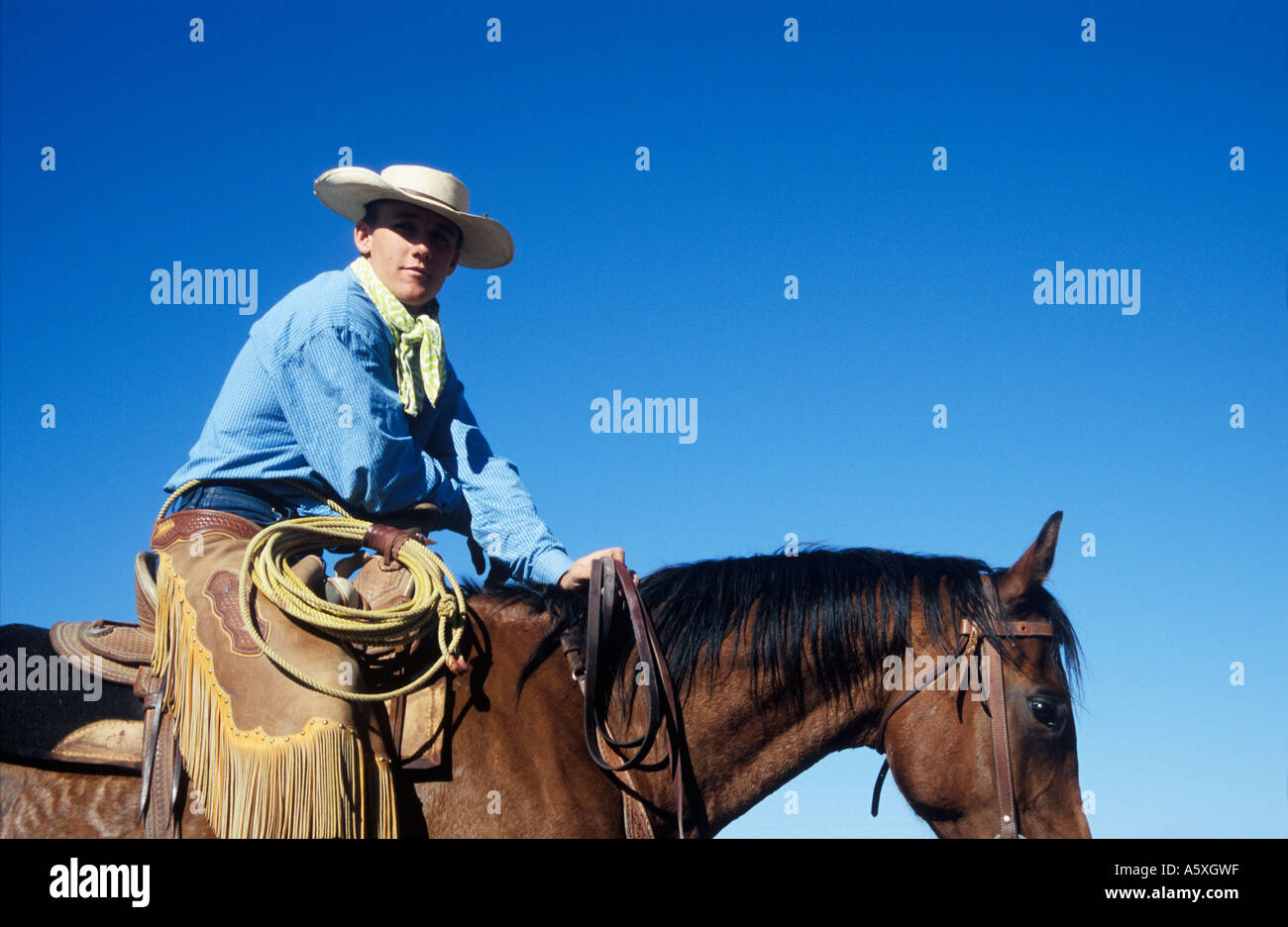 Male cowboy on horse hi-res stock photography and images - Alamy