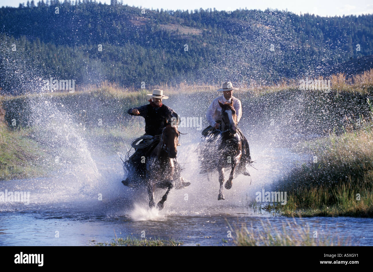 Two Cowboys Riding Horses High Resolution Stock Photography and Images ...