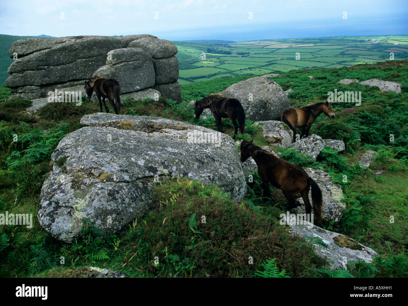 Rosewall Hill near St Ives Cornwall UK Stock Photo - Alamy