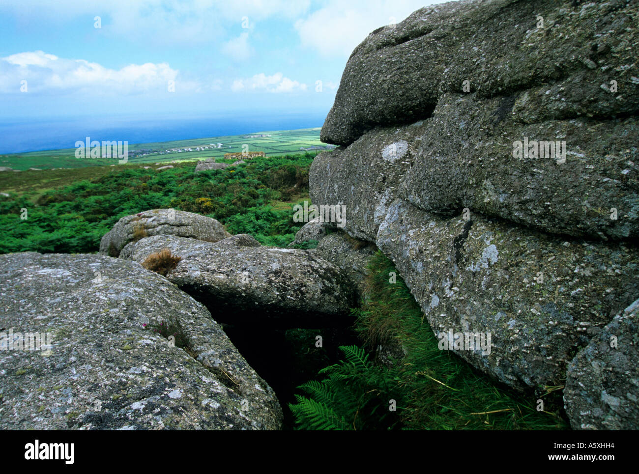 Rosewall hi-res stock photography and images - Alamy