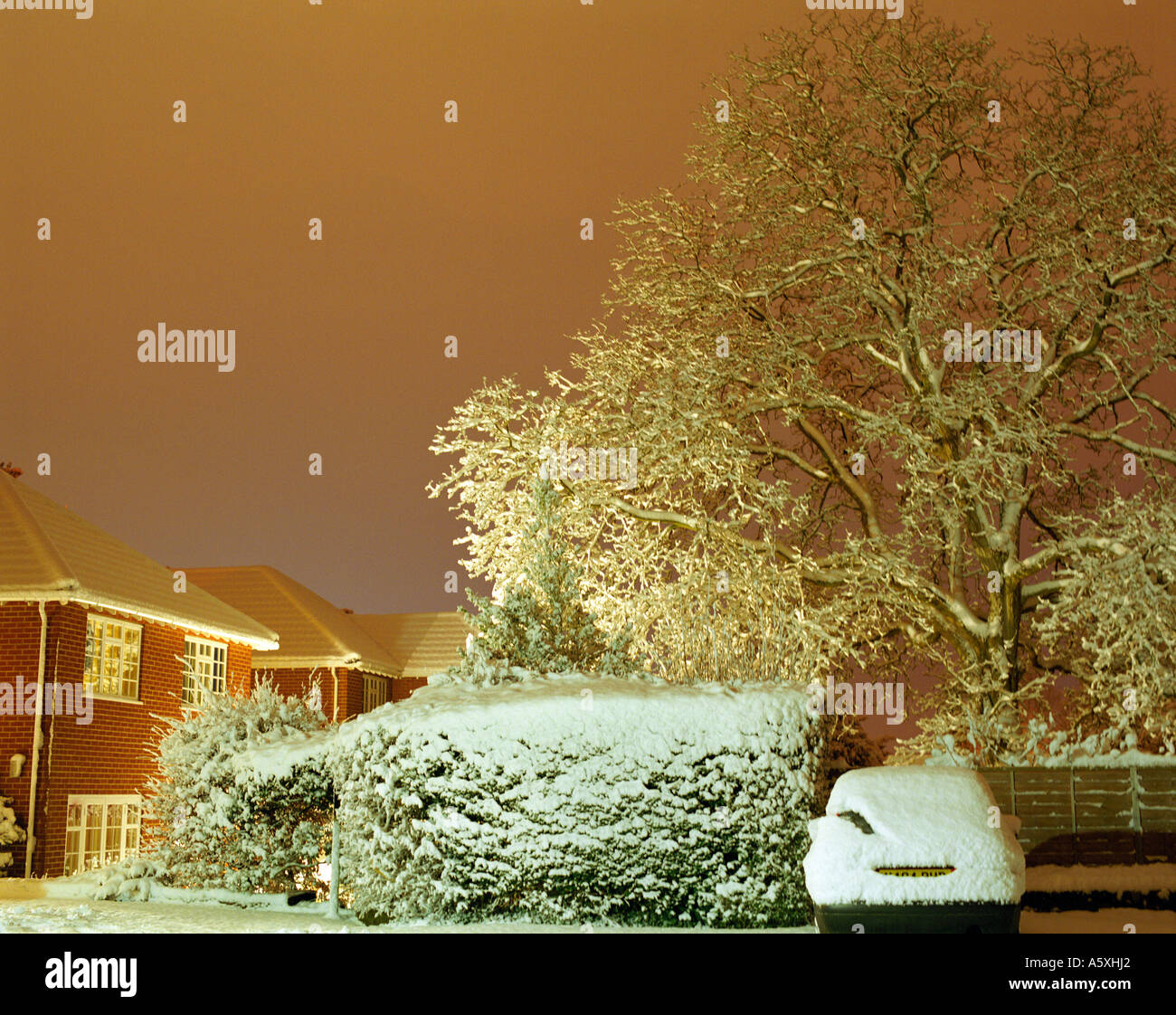 Snow at Night Stock Photo - Alamy