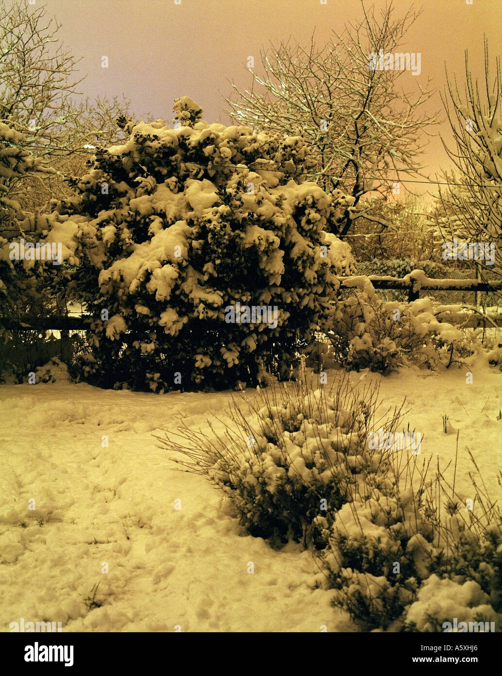 Snow at Night Stock Photo - Alamy