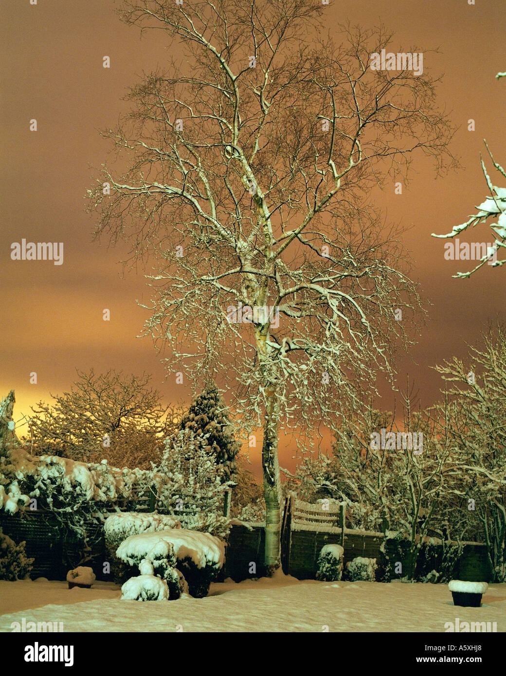 Snow at night Stock Photo - Alamy