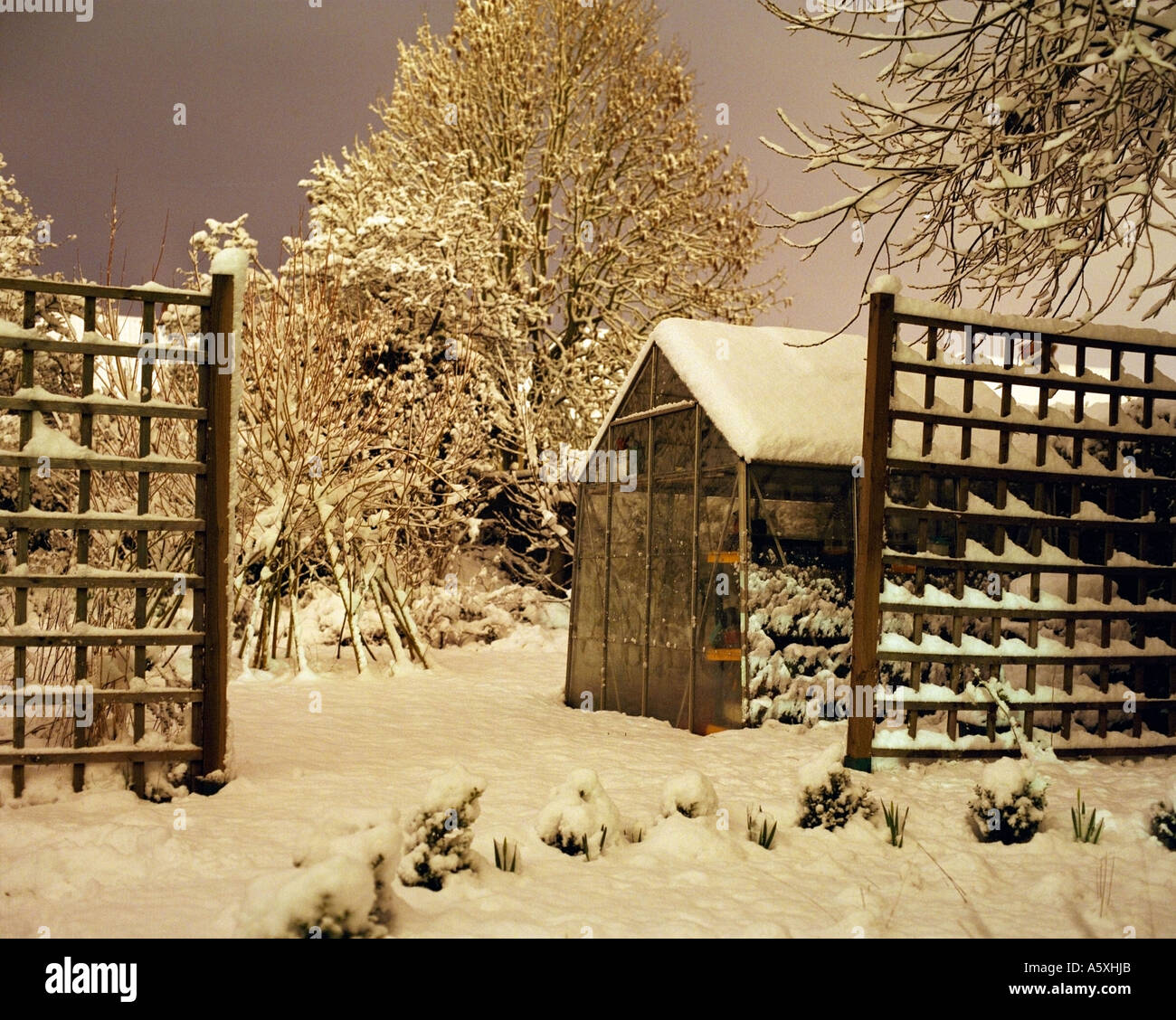 Snow at Night Stock Photo - Alamy
