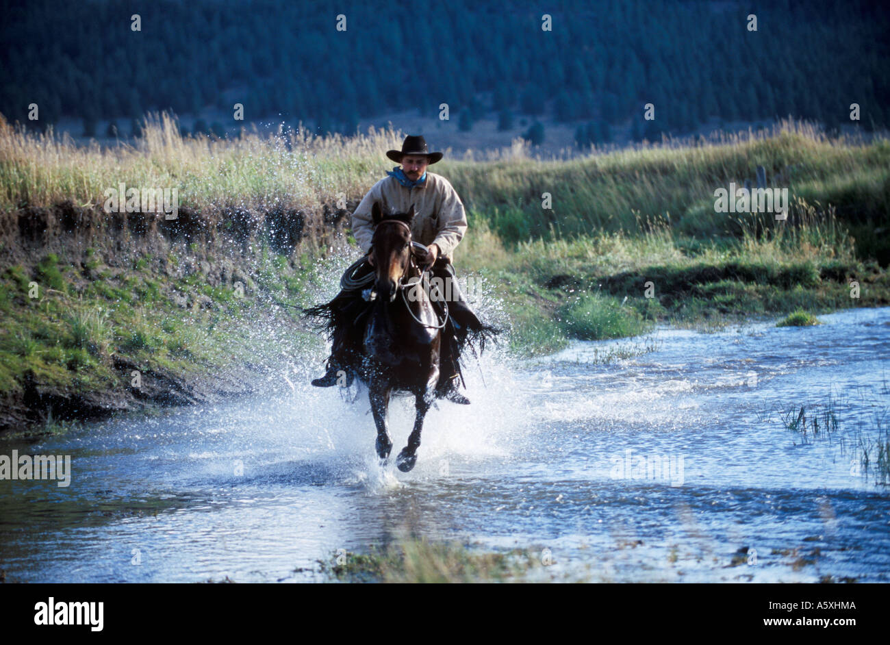 Man riding horse through water hi-res stock photography and images - Alamy
