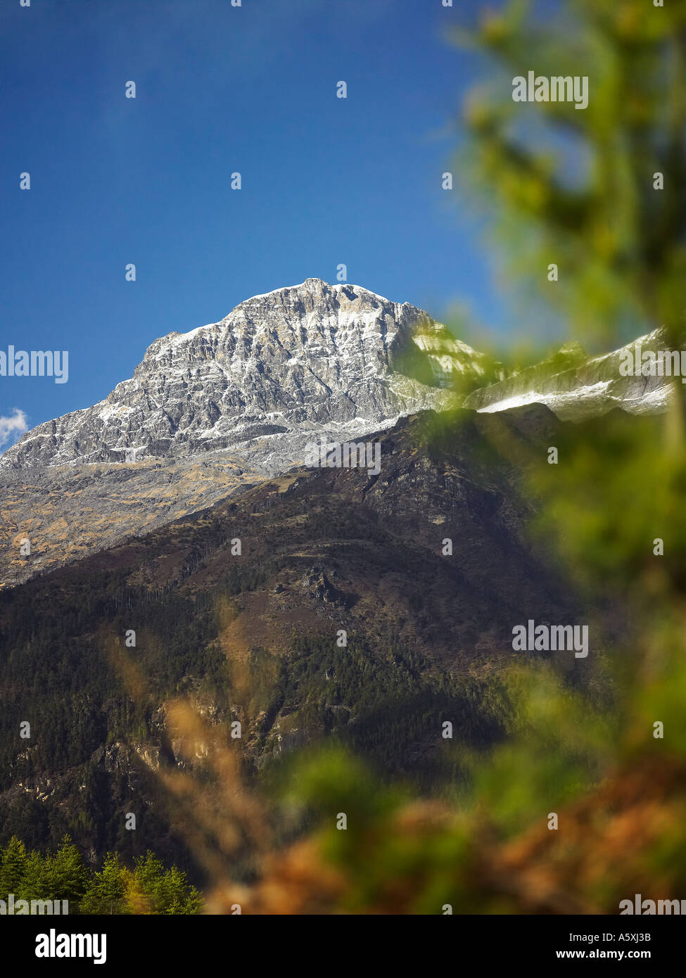 Mt Jhomolhari in the Himalayan mountains of Bhutan Stock Photo - Alamy