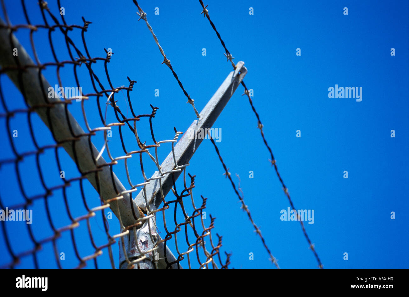 Barbed Wire Security Fence Stock Photo - Alamy