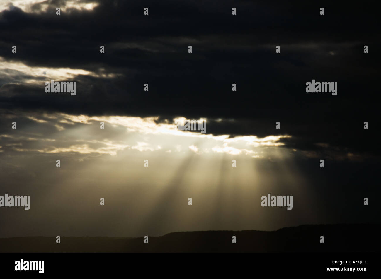 God beams emerging from Storm clouds Masai Mara National Park Kenya ...