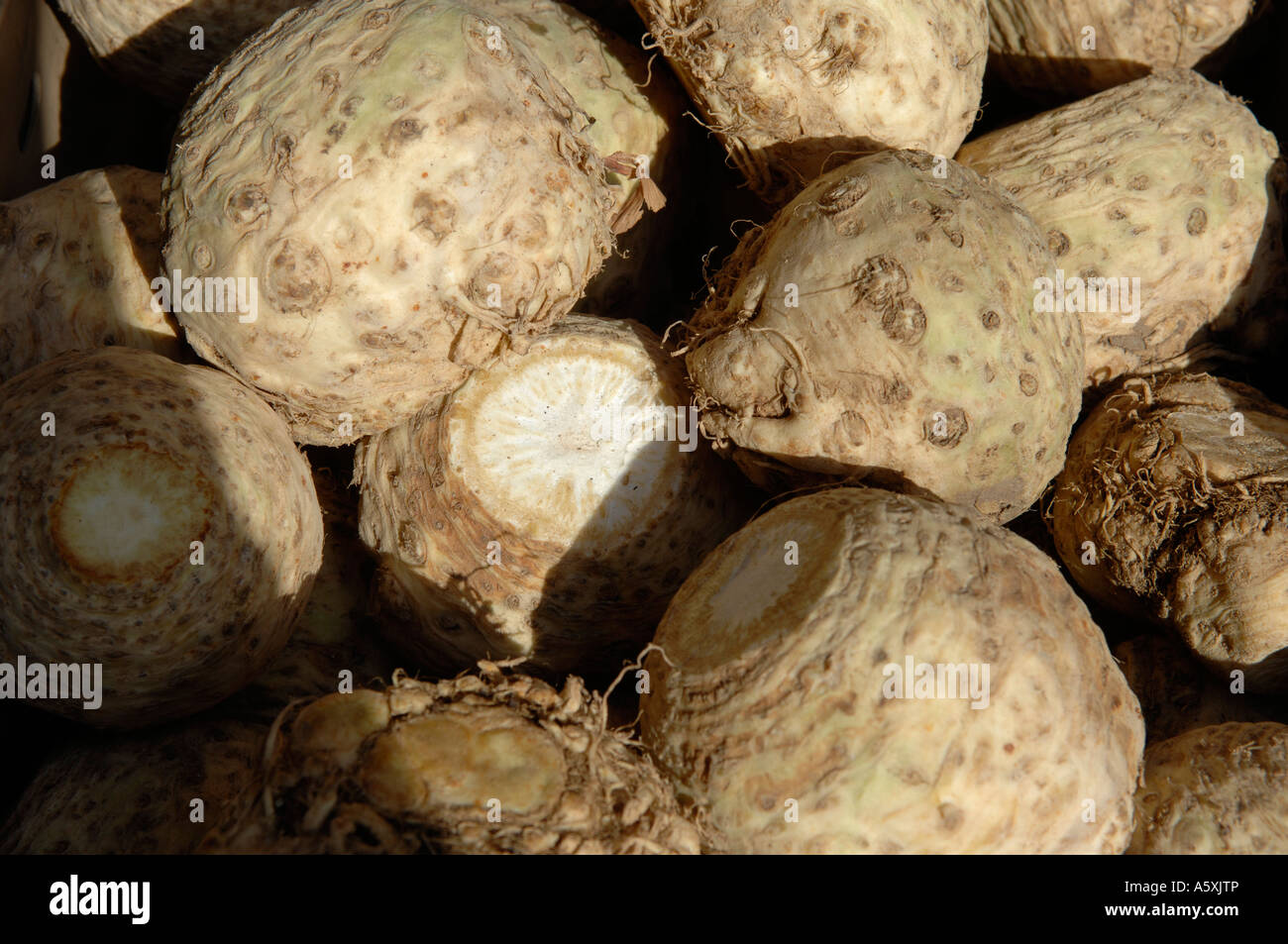 Swede vegetable hi-res stock photography and images - Alamy
