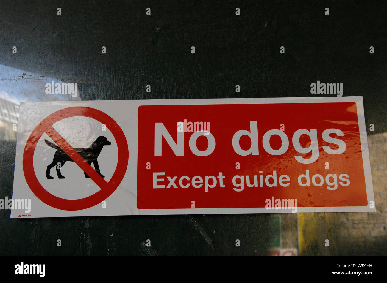 No Dogs Sign Stock Photo - Alamy