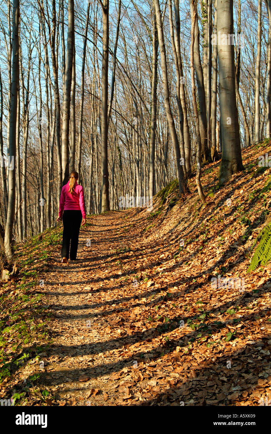 Woodland track trail hi-res stock photography and images - Alamy