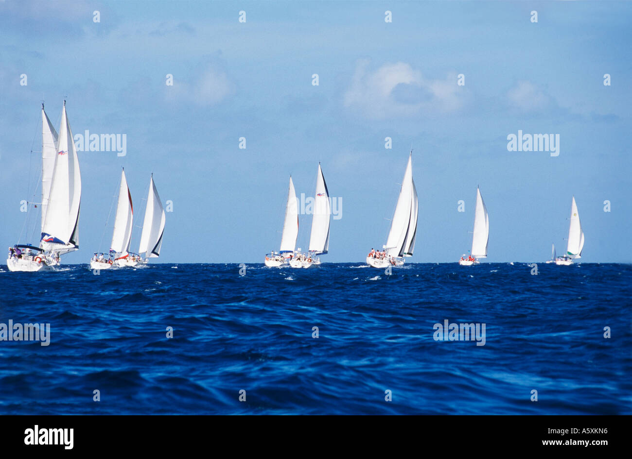 Racing Yachts Antigua racing Week Antigua West Indies Stock Photo - Alamy