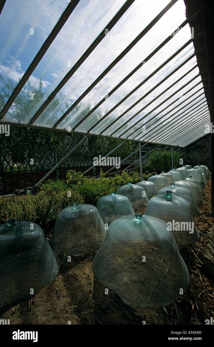 Glass garden cloche hi-res stock photography and images - Alamy