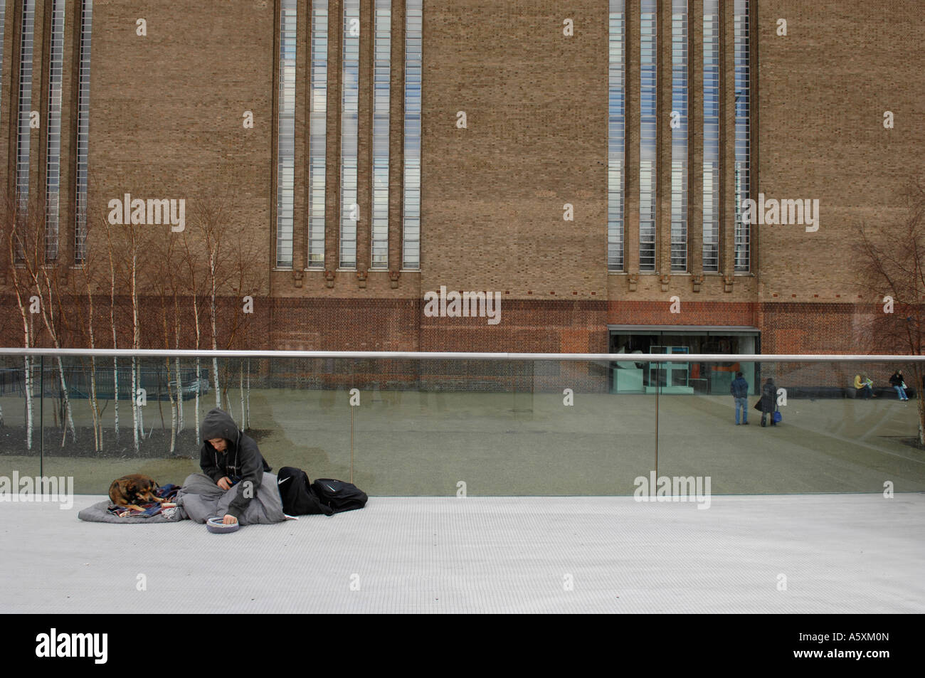 Homeless Person Living Rough Begging with Dog Stock Photo - Alamy