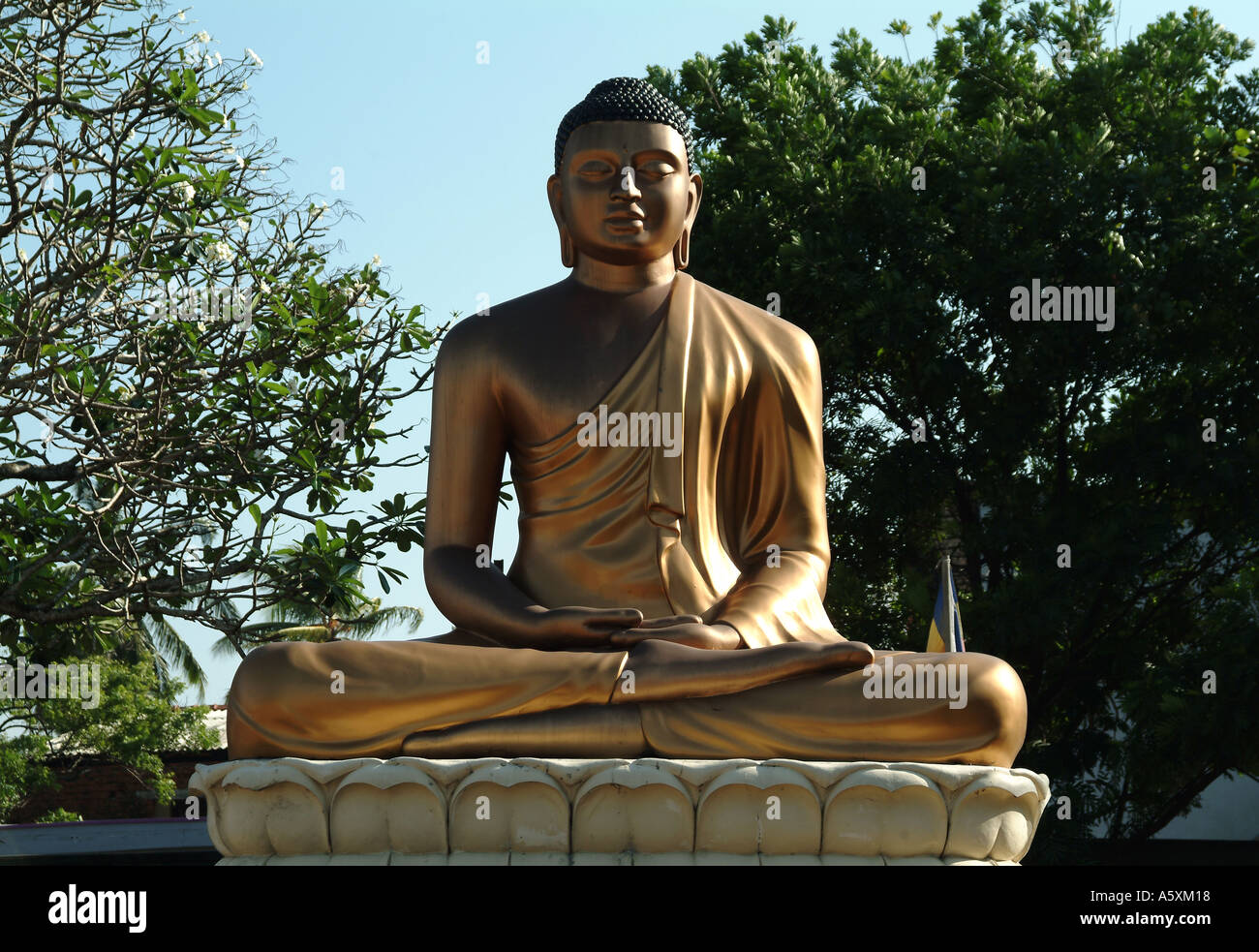 buddha statue in sri lanka Stock Photo - Alamy