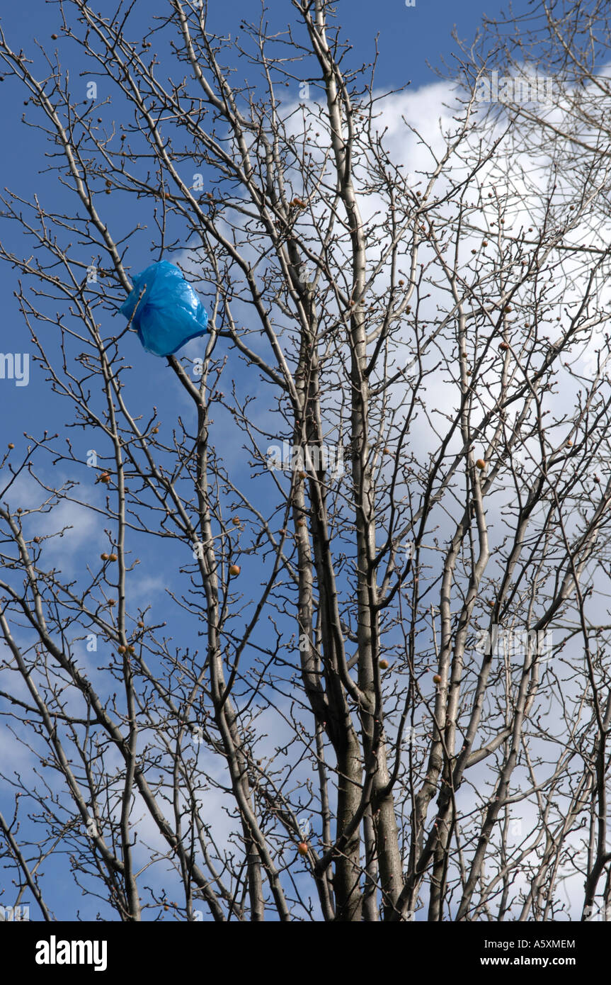 Balloon in Tree Stock Photo - Alamy