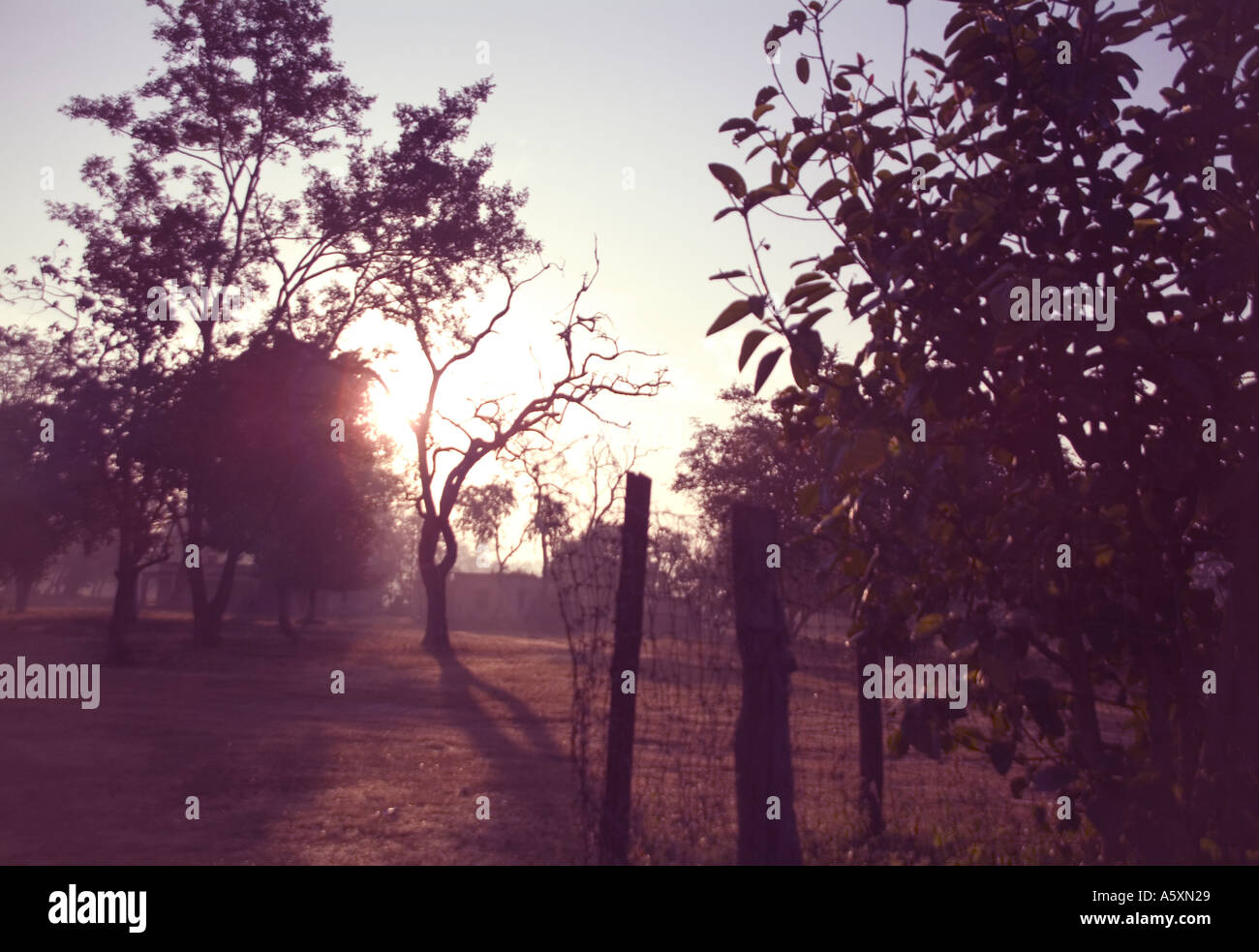 Dawn corbett hi-res stock photography and images - Alamy