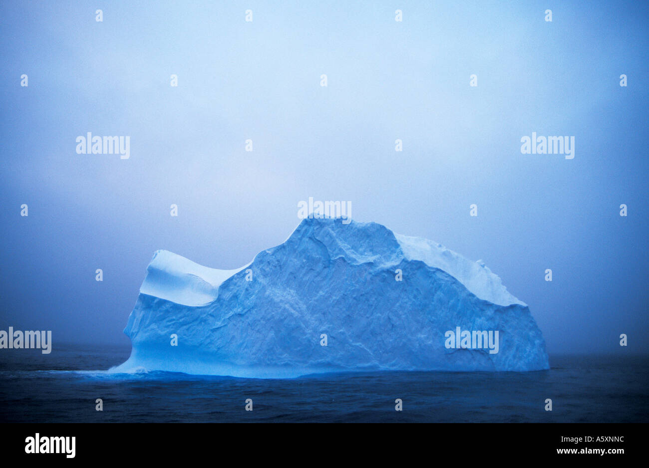 Blue Iceberg Antarctica Stock Photo - Alamy