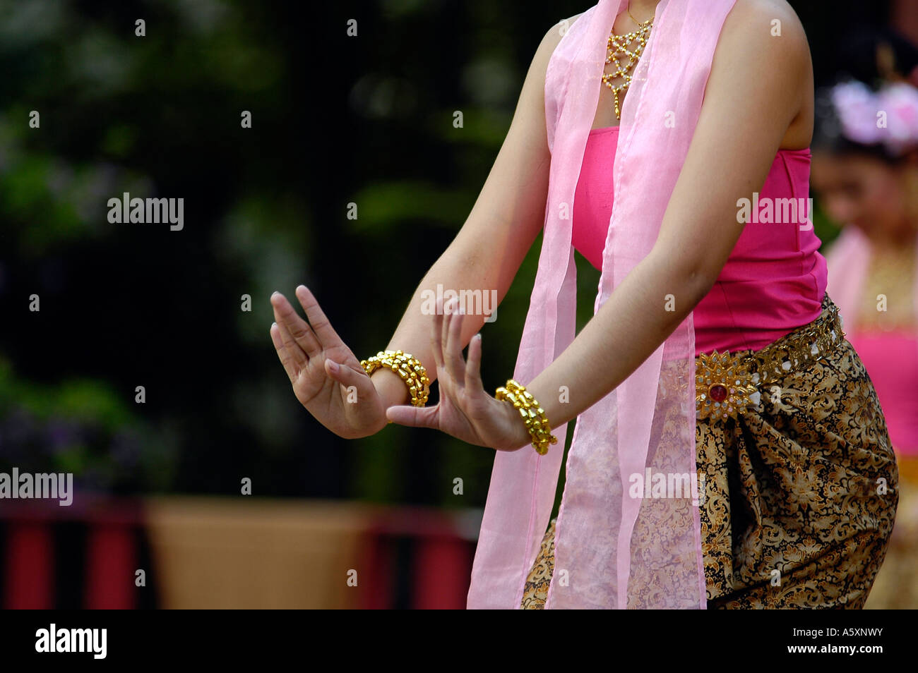 Close-up of the hands of Thai traditional dancers during a week of ...