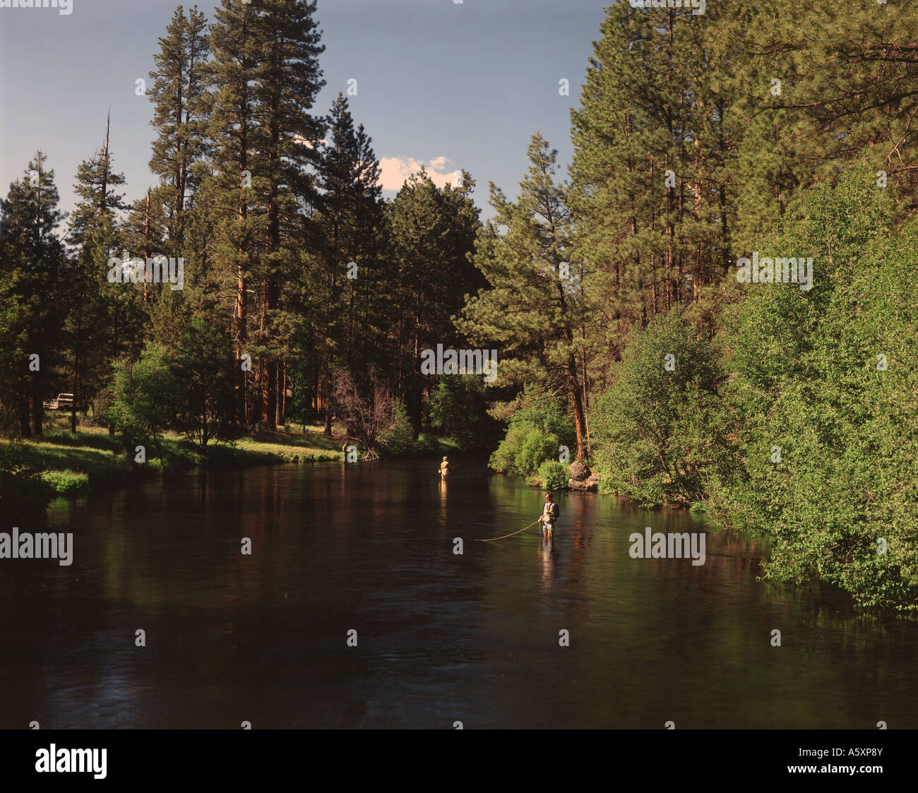 Metolius river oregon wildlife hi-res stock photography and images - Alamy