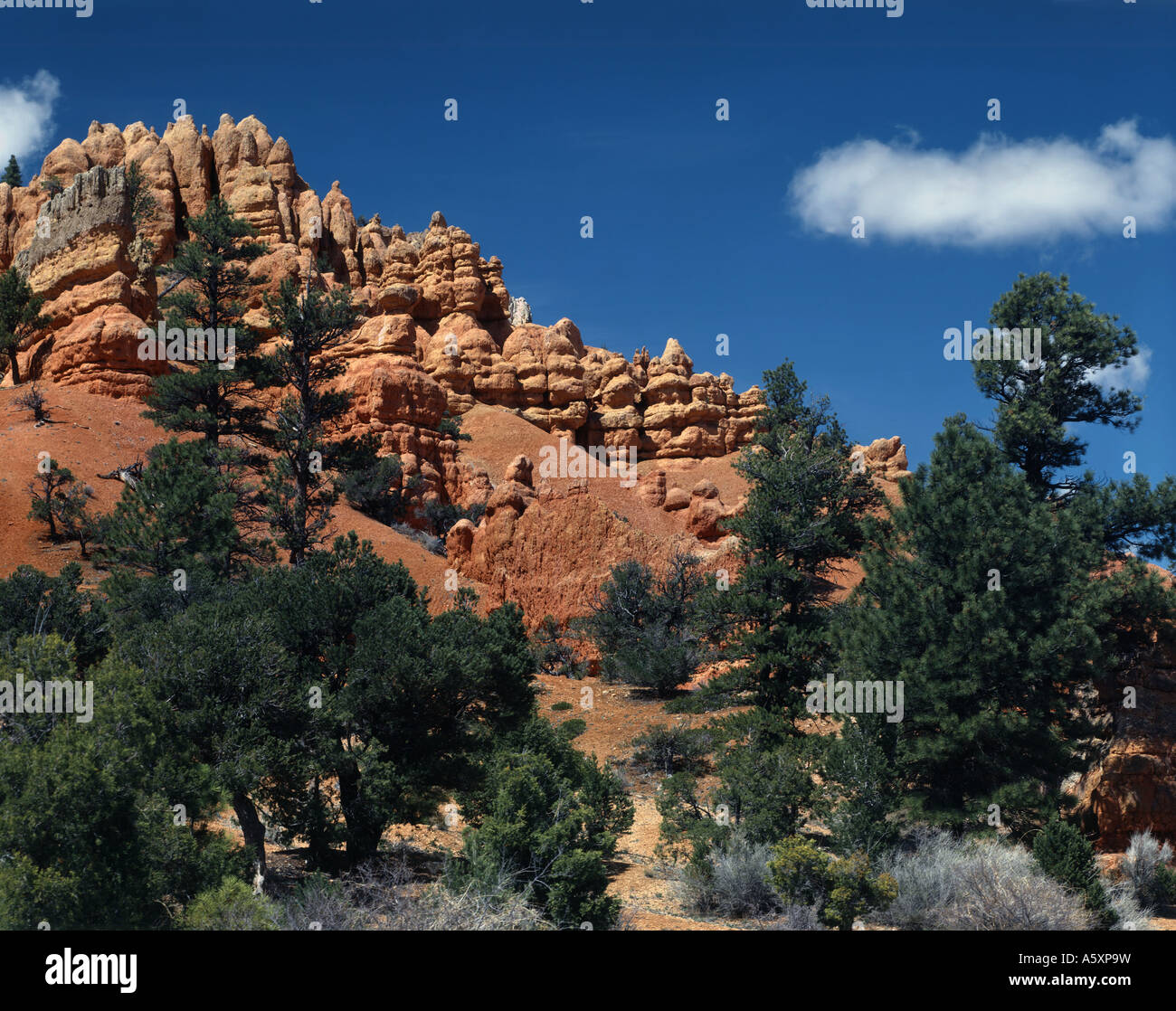 Distinctive landforms hi-res stock photography and images - Alamy