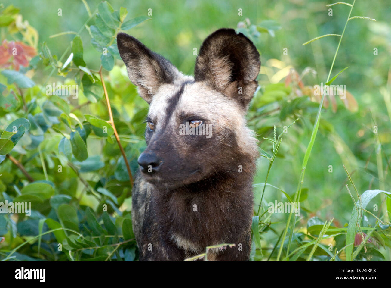 285d hi-res stock photography and images - Alamy