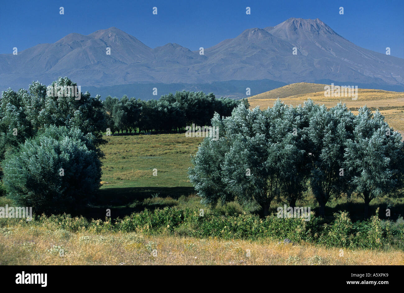 The Hasan Dag volcano can be seen since the Ihlara village (Cappadoce ...