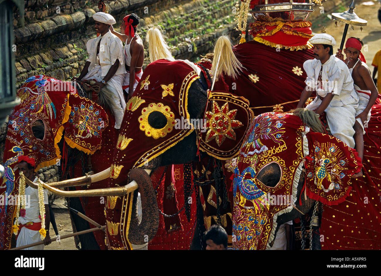 The Esala Perahera in Kandy (Sri Lanka). L'Esala Perahera à Kandy (Sri ...
