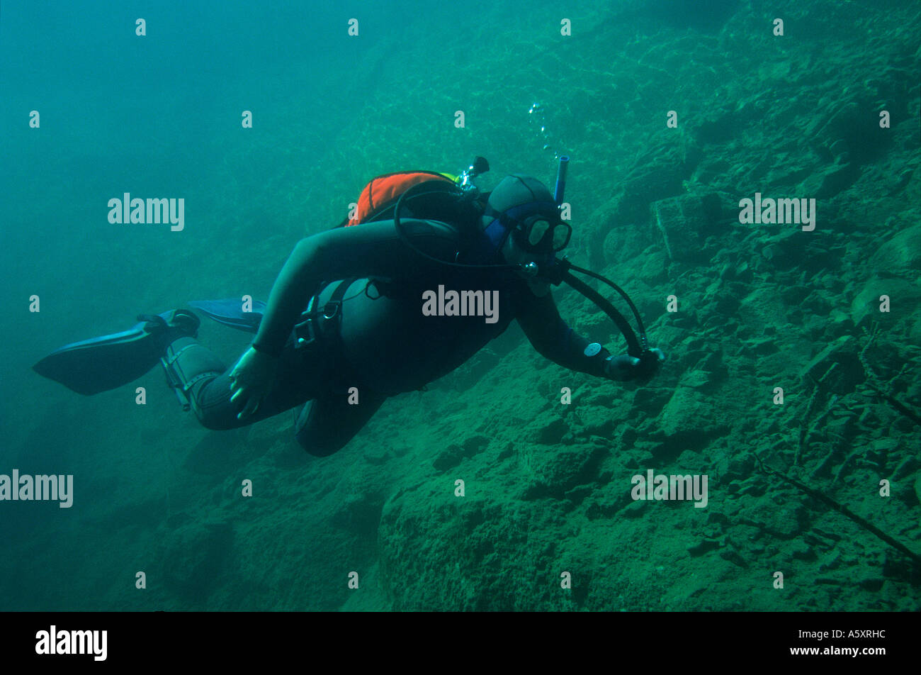 Swimming suit fat hi-res stock photography and images - Alamy