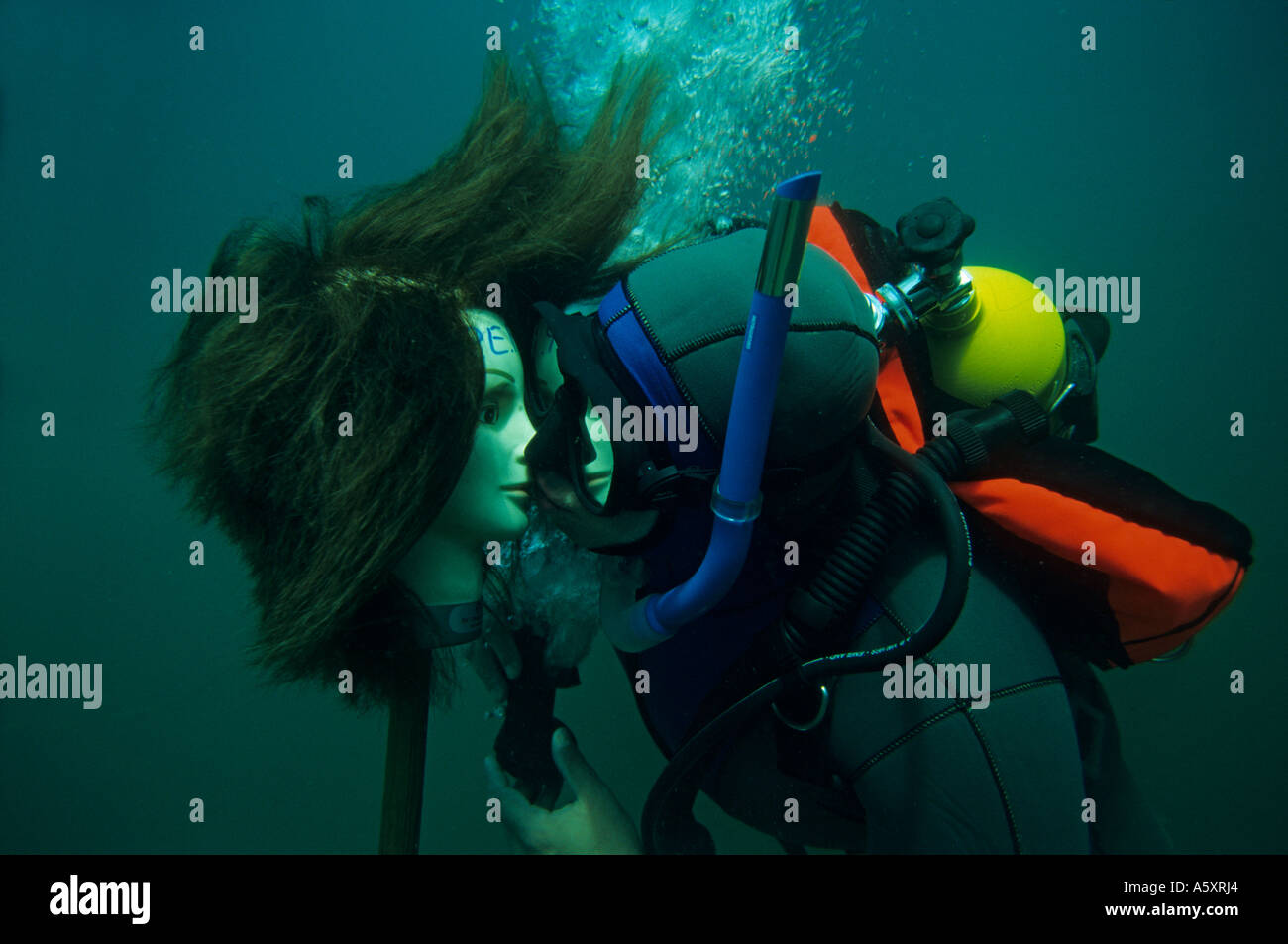 Freshwater scuba diving (France). Plongée sous-marine en eau douce (France Stock Photo - Alamy
