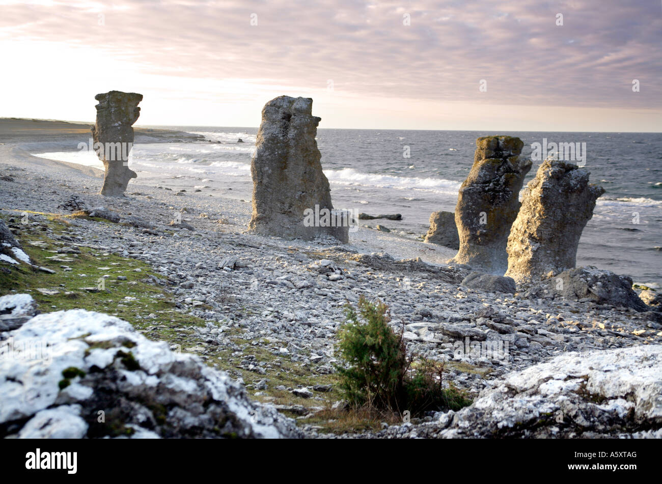 Geological phenomenon. Swedish raukar: stone columns created by natural ...