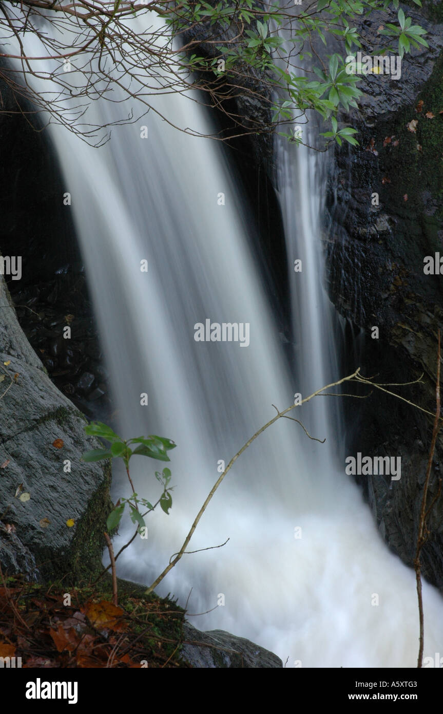 waterfall by rocks with overhanging trees Stock Photo - Alamy