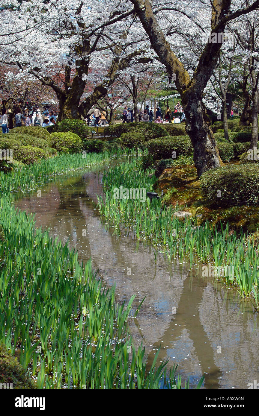 Daimyo japan hi-res stock photography and images - Alamy