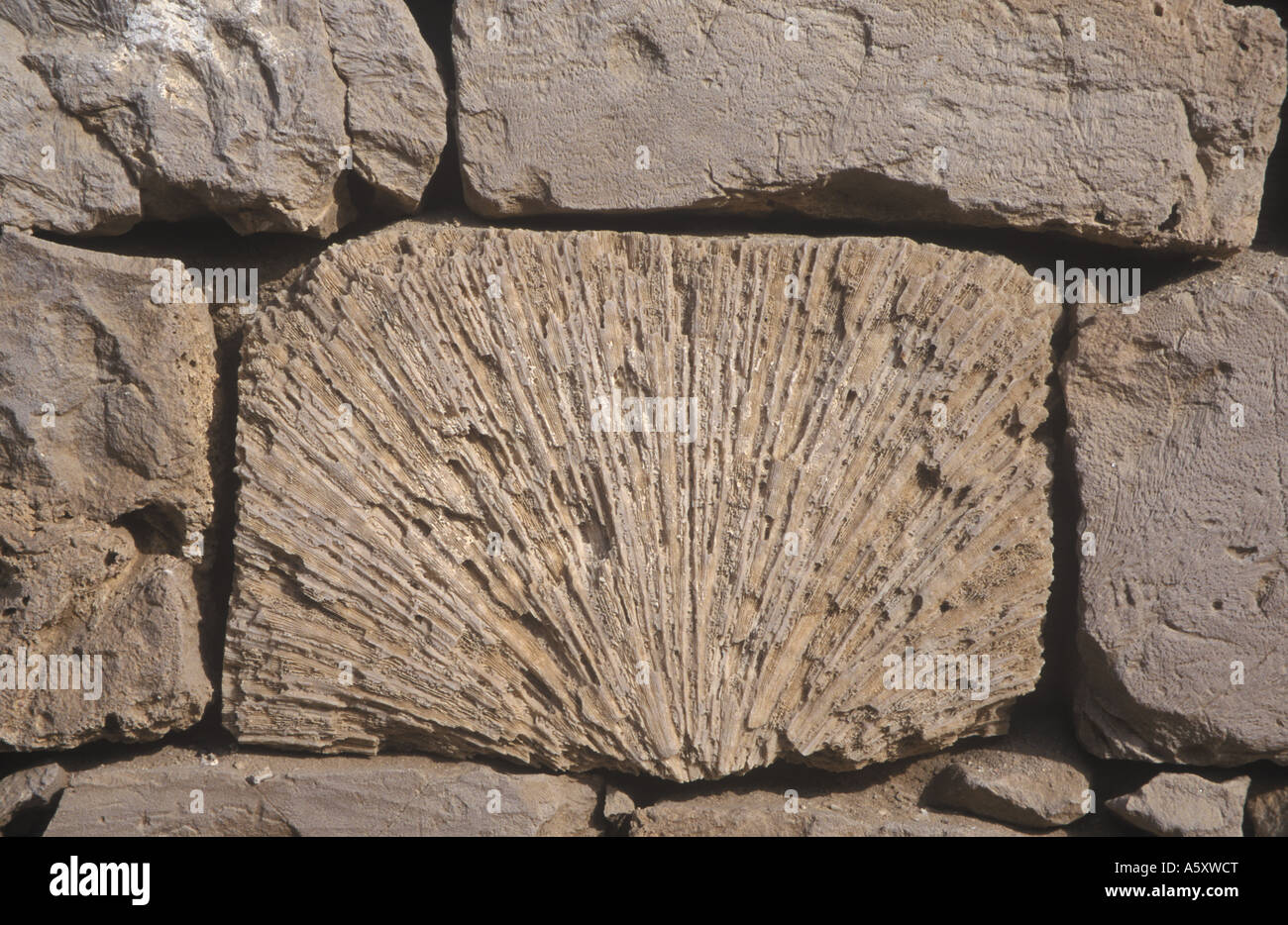 Suakin island hi-res stock photography and images - Alamy