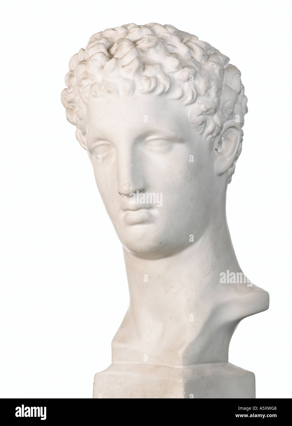 Copy of Michael Angelo's David Stock Photo - Alamy