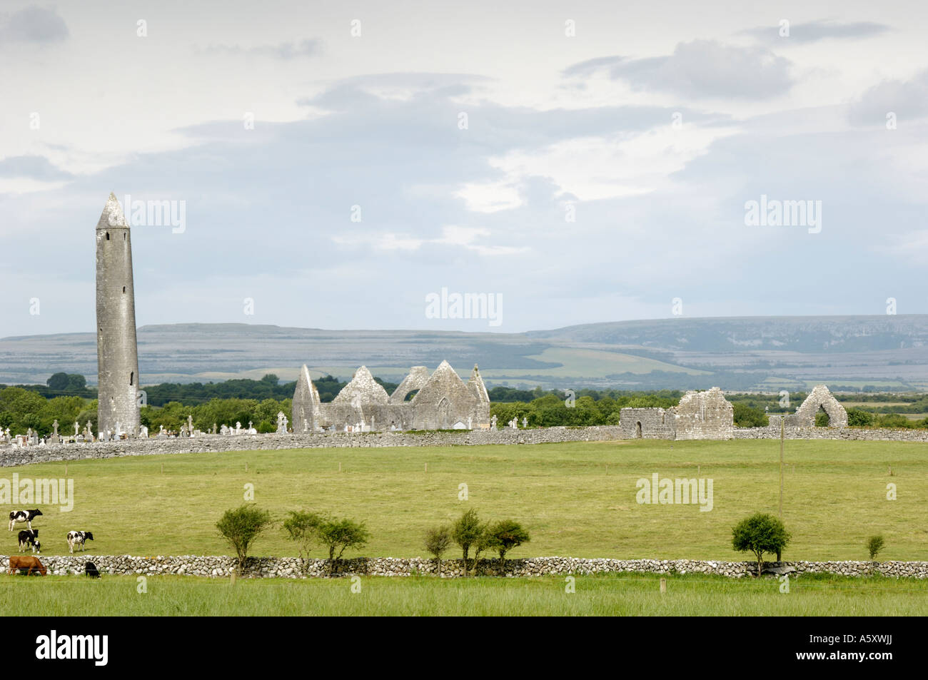 Gort hi-res stock photography and images - Alamy