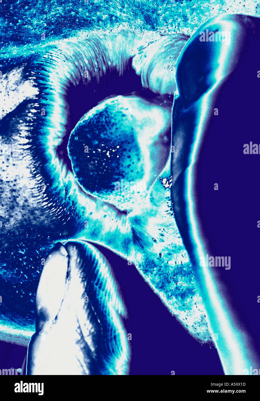 finger poking mouth Stock Photo - Alamy