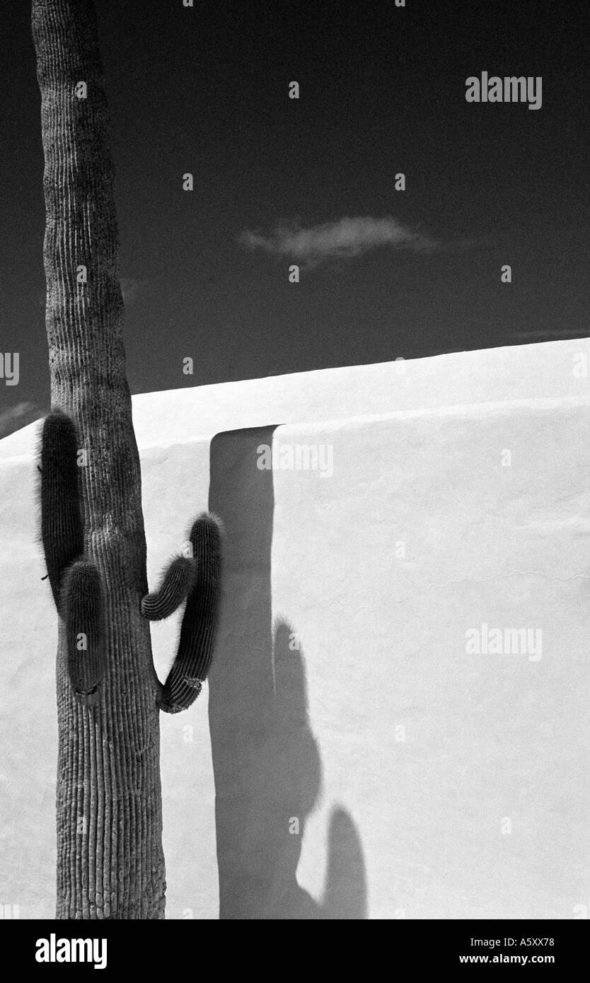 The cesar manrique house museum Black and White Stock Photos & Images ...