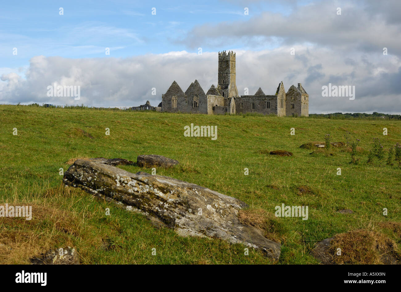 Ross Errilly Franciscan Friary, near Headford, County Galway, Ireland ...