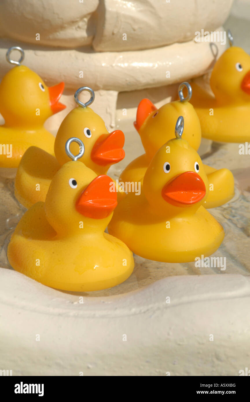 Catch ducks hi-res stock photography and images - Alamy