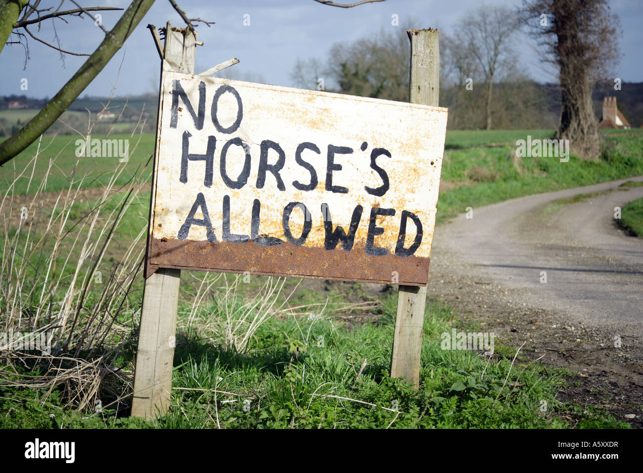 "No horses allowed" warning sign, Essex, England, UK Stock Photo - Alamy