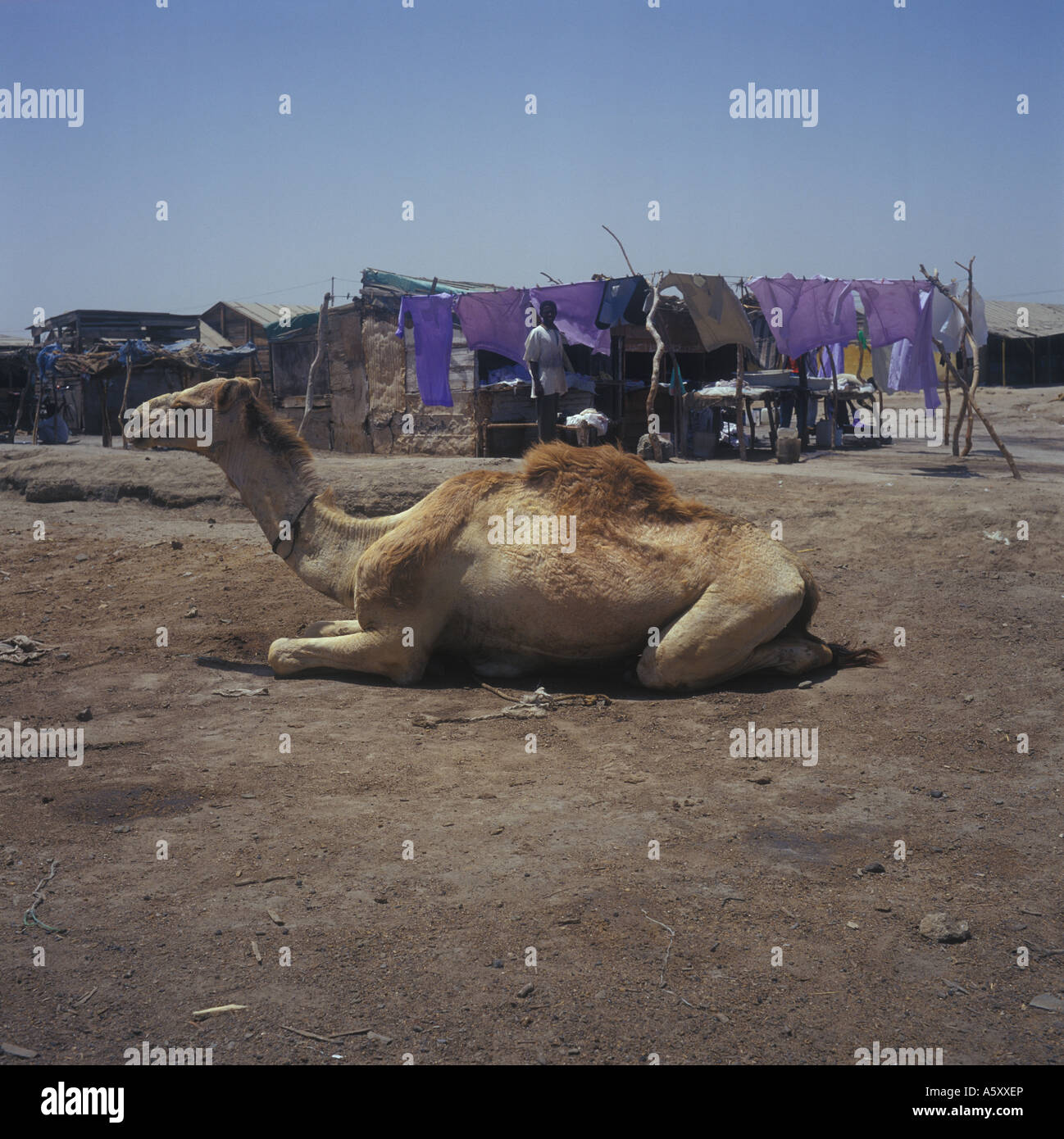 Old suakin sudan hi-res stock photography and images - Alamy