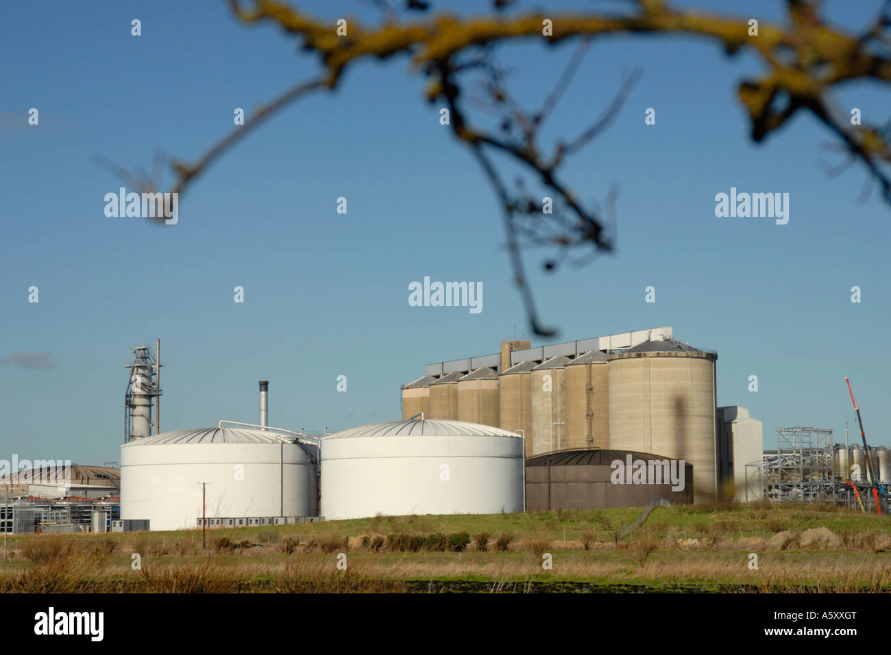 Norfolk sugar factory hi-res stock photography and images - Alamy