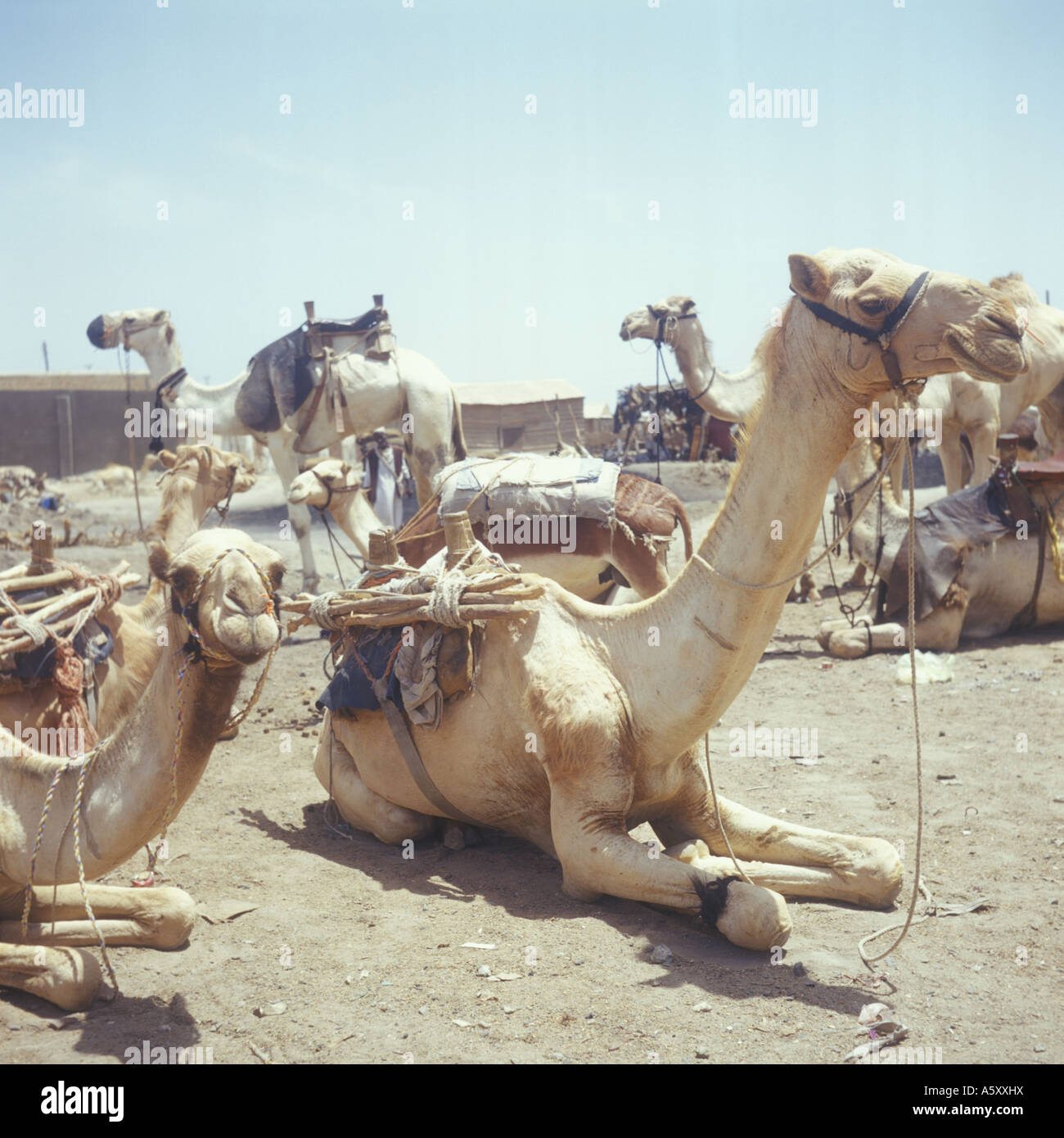 Old suakin sudan hi-res stock photography and images - Alamy