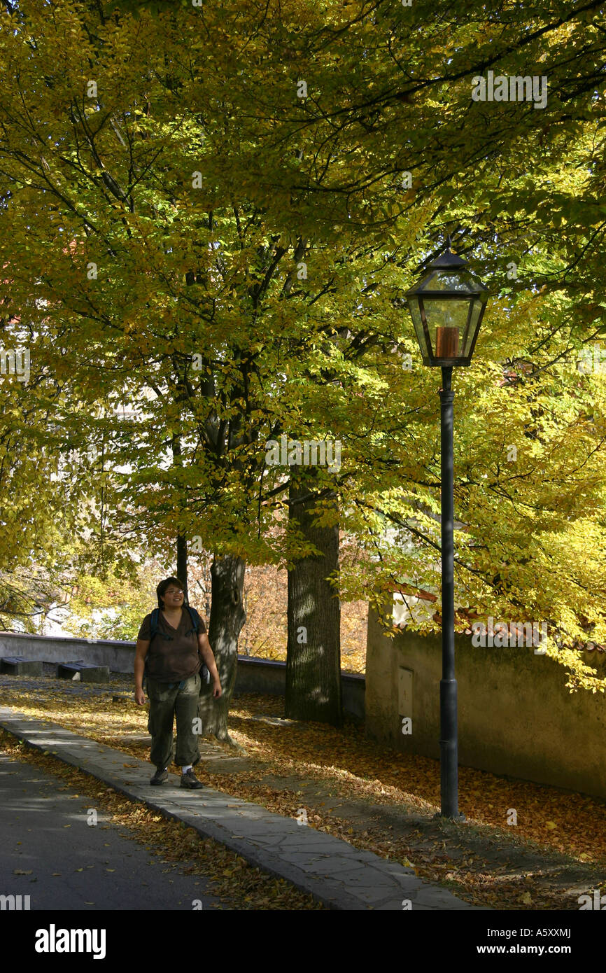 Stroll Through Autumn Stock Photo - Alamy